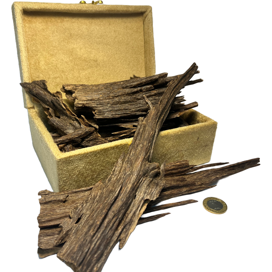 Premium Oud, Agarwood – Oud Khaleej
